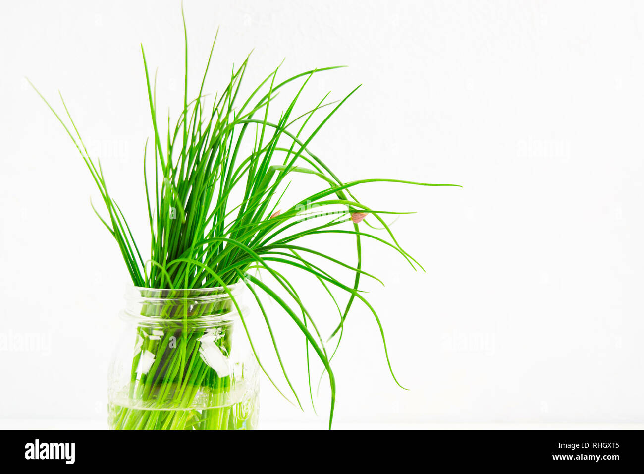 Spring onion on white background with copy space Stock Photo - Alamy