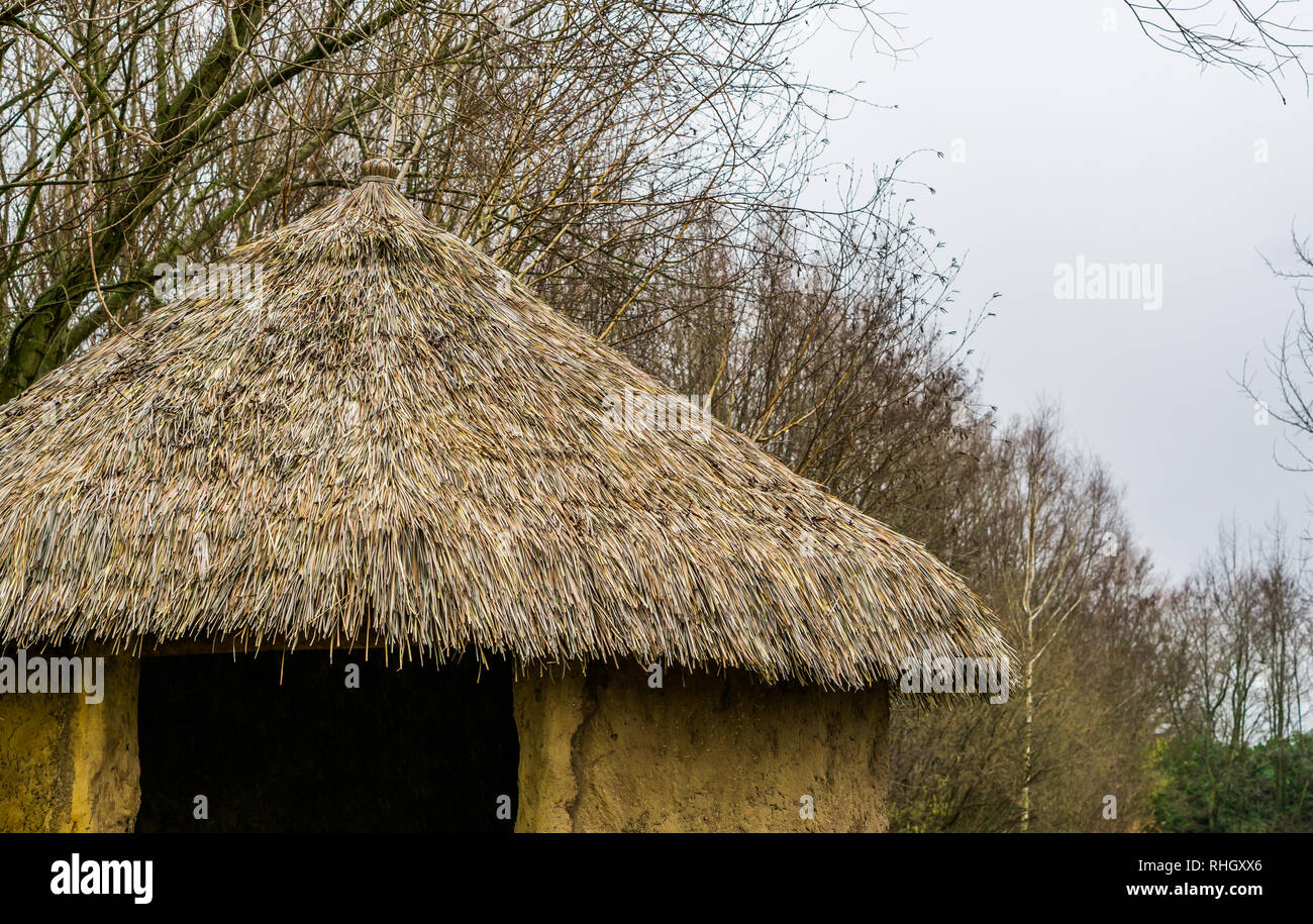 rooftop of a primitive house with thatched roof, garden decoration ...