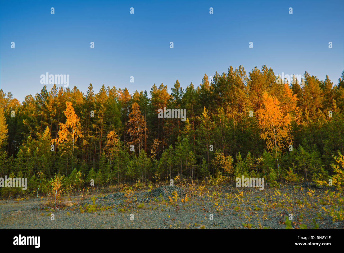 Ural mountains forest hi-res stock photography and images - Alamy