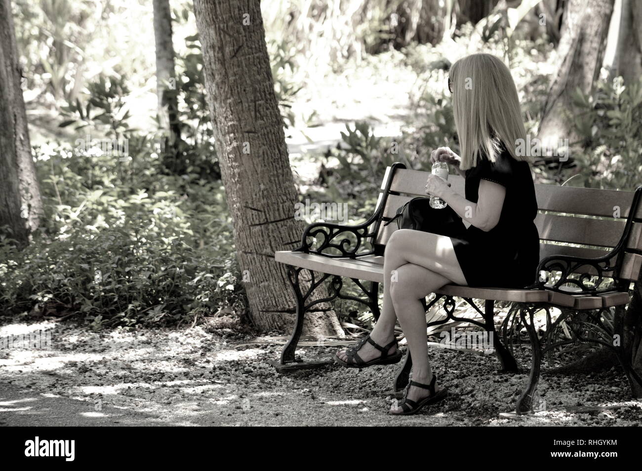 Lady sitting on a park bench hi-res stock photography and images - Alamy