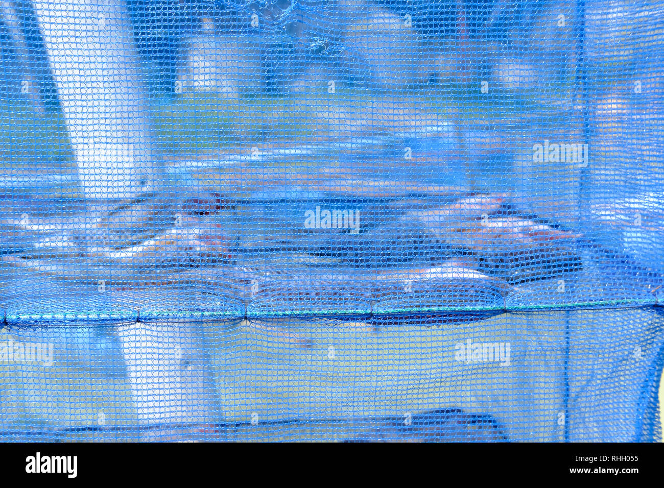 Dried tilapia hi-res stock photography and images - Alamy