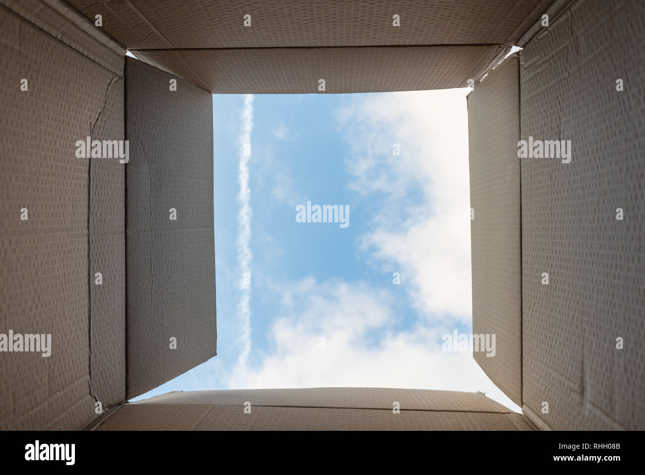 Thinking out of box or freedom concept. Creativity or thinking outside ...