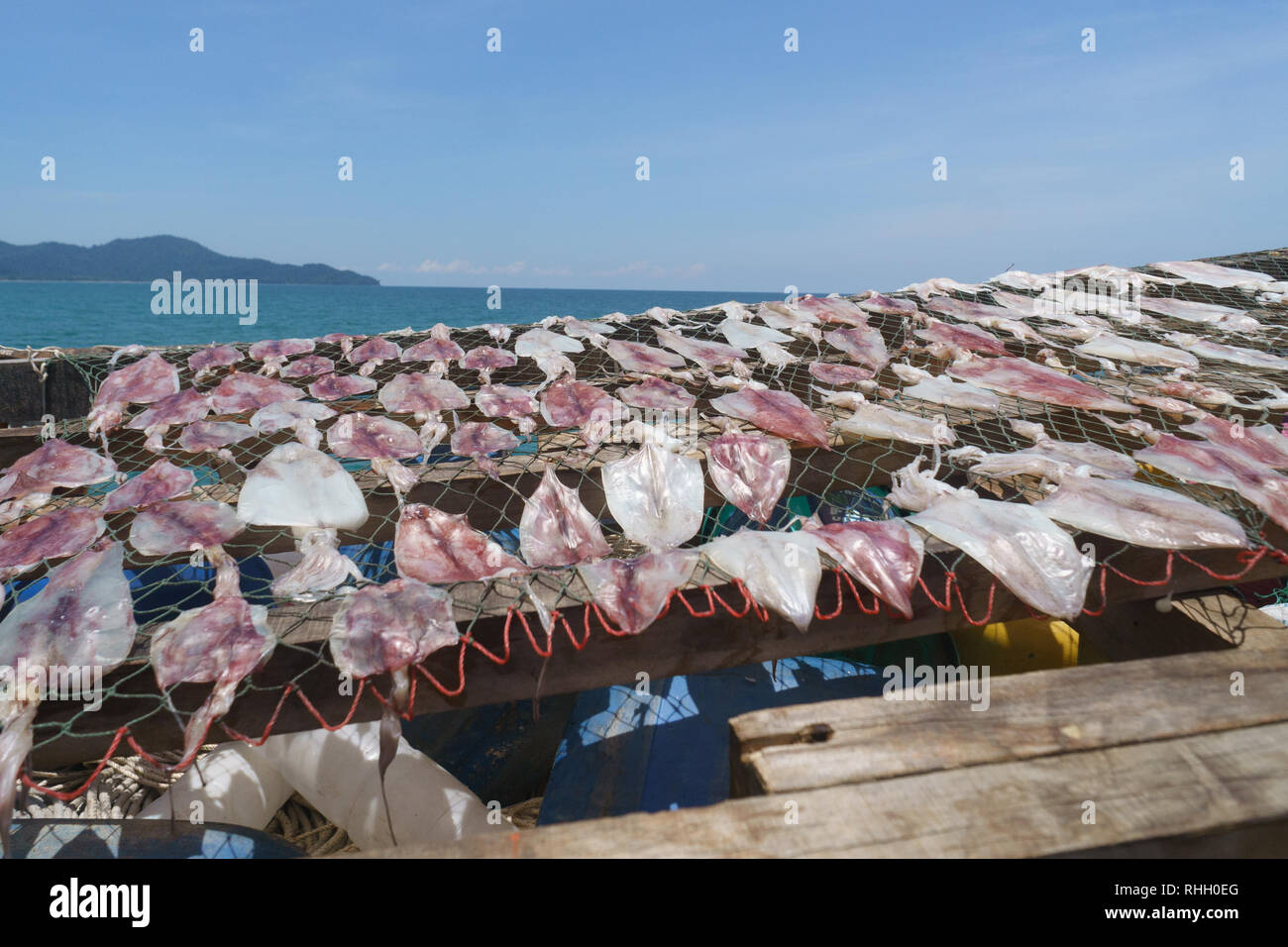 Dried salted fish on top of fishing vessel roof Stock Photo - Alamy