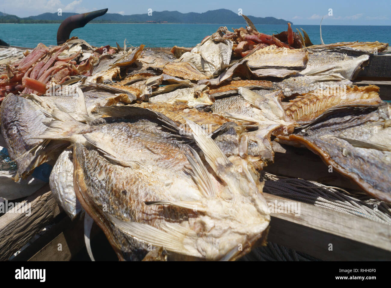 Dried salted fish on top of fishing vessel roof Stock Photo - Alamy