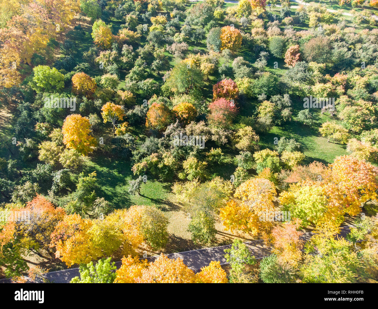 Beautiful park foliage trees hi-res stock photography and images - Alamy
