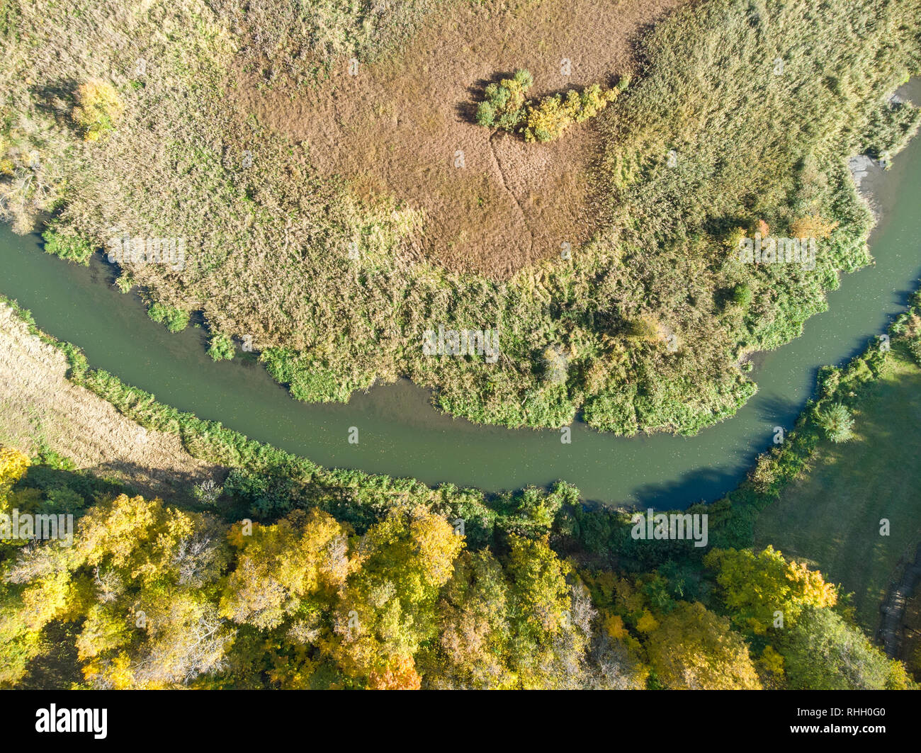 Riverside forest hi-res stock photography and images - Alamy