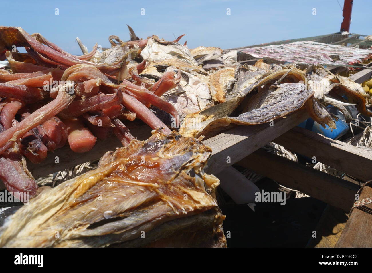 Dried salted fish on top of fishing vessel roof Stock Photo - Alamy