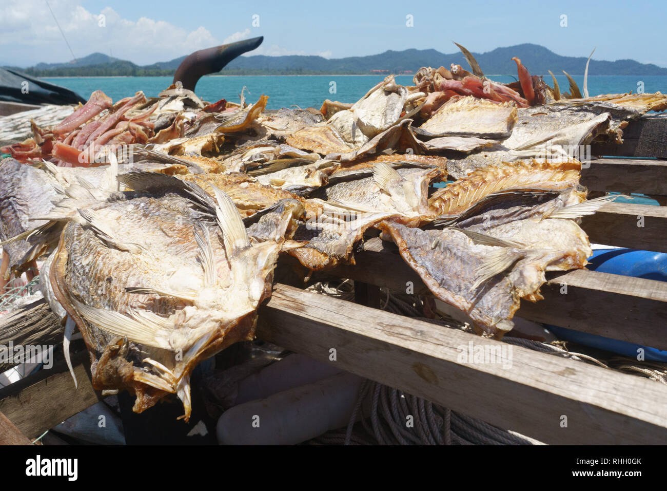 Natural fish fishing hi-res stock photography and images - Alamy