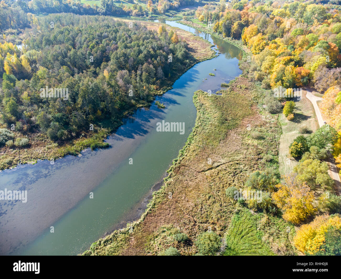 park landscape aerial top view. trees with gold autumnal foliage ...