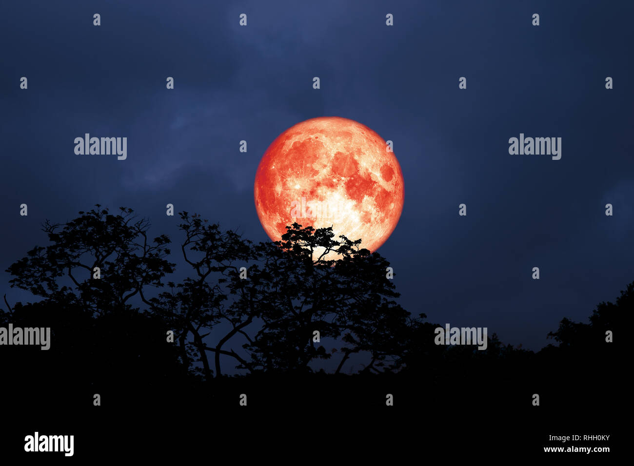 Blood Moon From Nasa