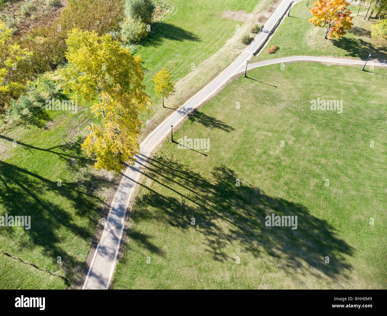 top aerial image of city park. trees with orange dry foliage growing ...