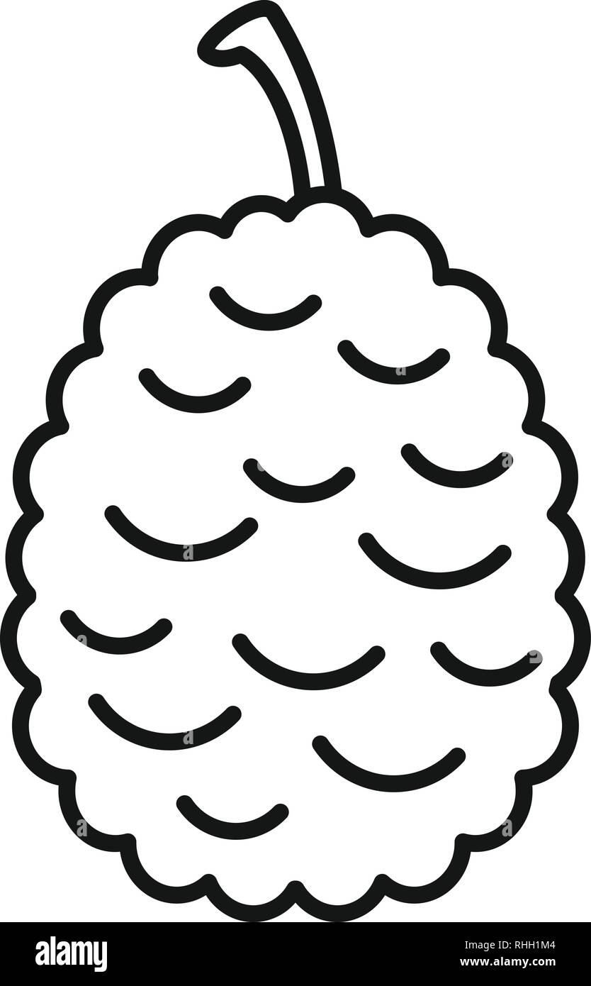 Lychees icon. Outline lychees vector icon for web design isolated on ...