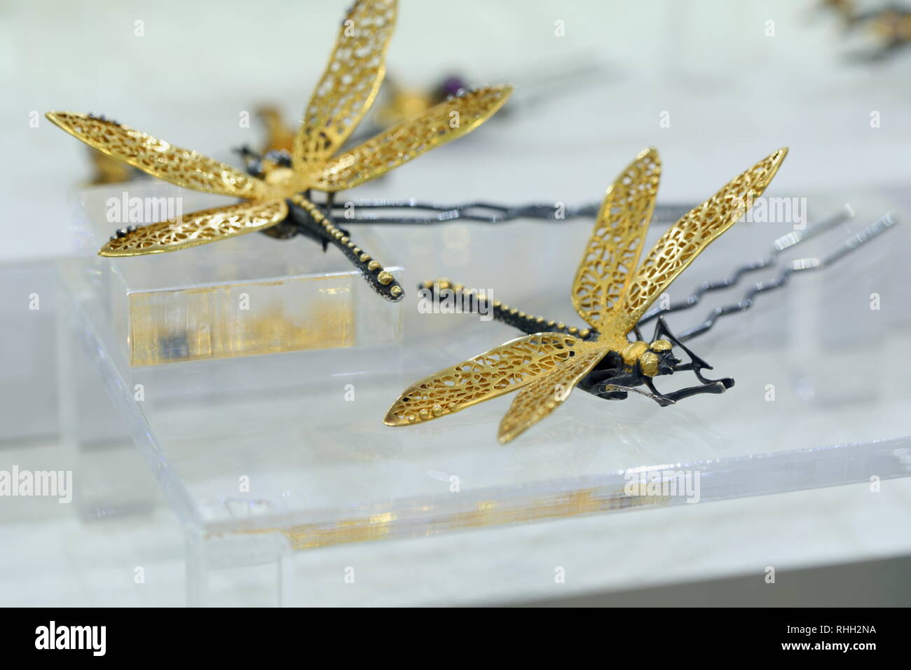 Dragonfly festival hi-res stock photography and images - Alamy