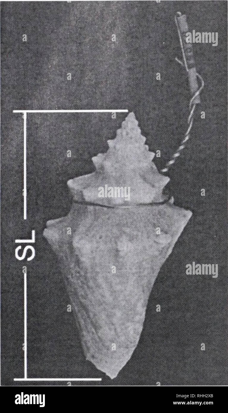 . The Biological bulletin. Biology; Zoology; Biology; Marine Biology ...