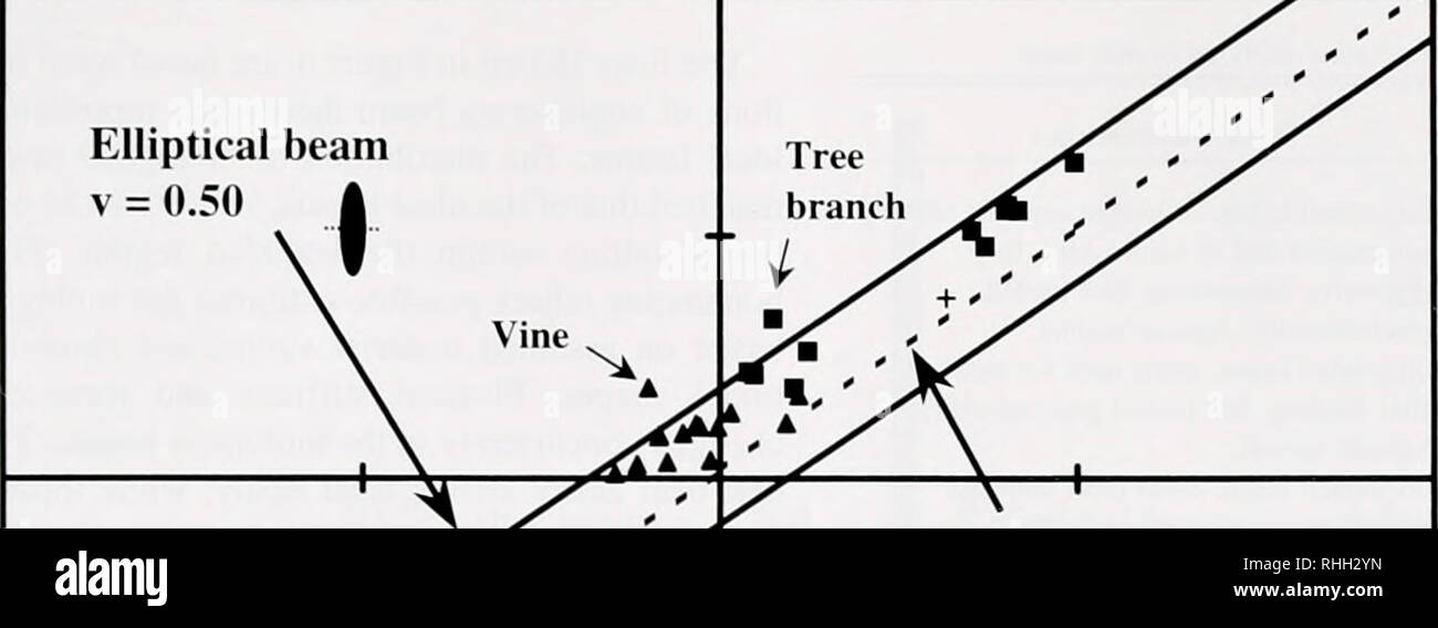 . The Biological bulletin. Biology; Zoology; Biology; Marine Biology ...