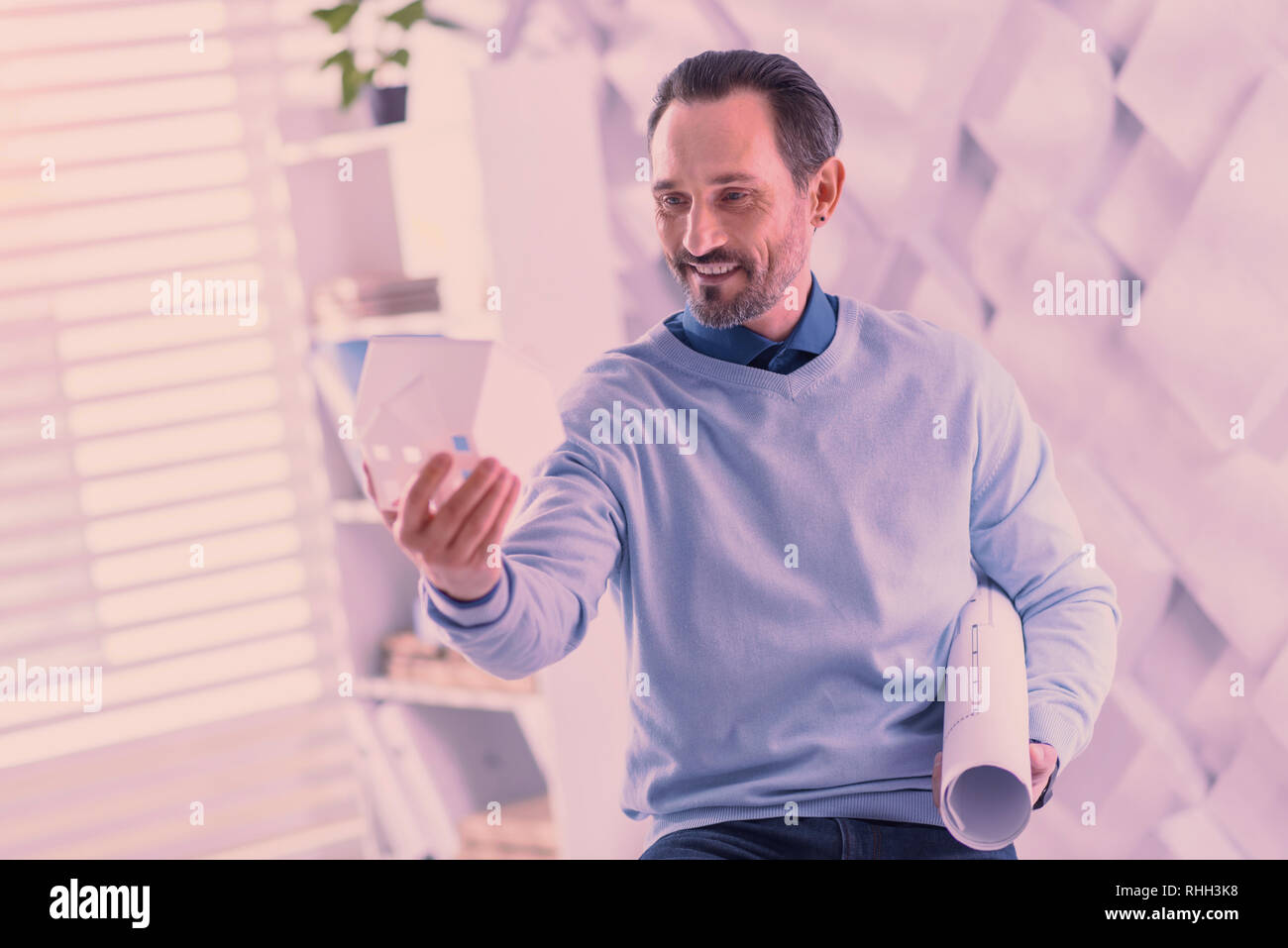 Merry male engineer admiring innovative house model Stock Photo - Alamy