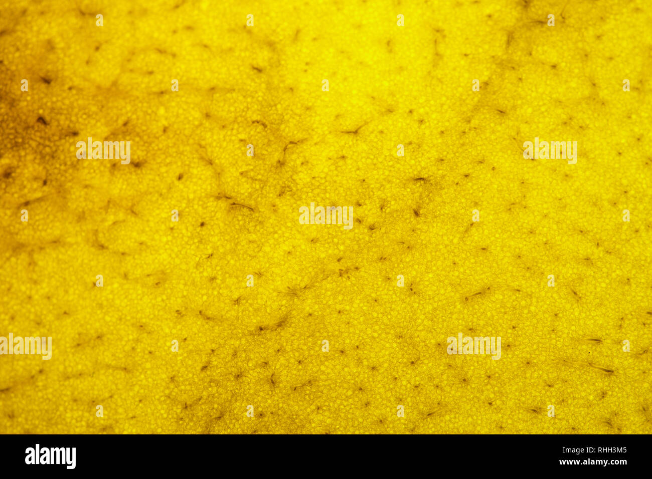 Dimples texture hi-res stock photography and images - Alamy
