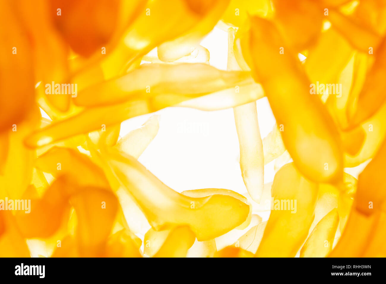 Citrus carpels hi-res stock photography and images - Alamy