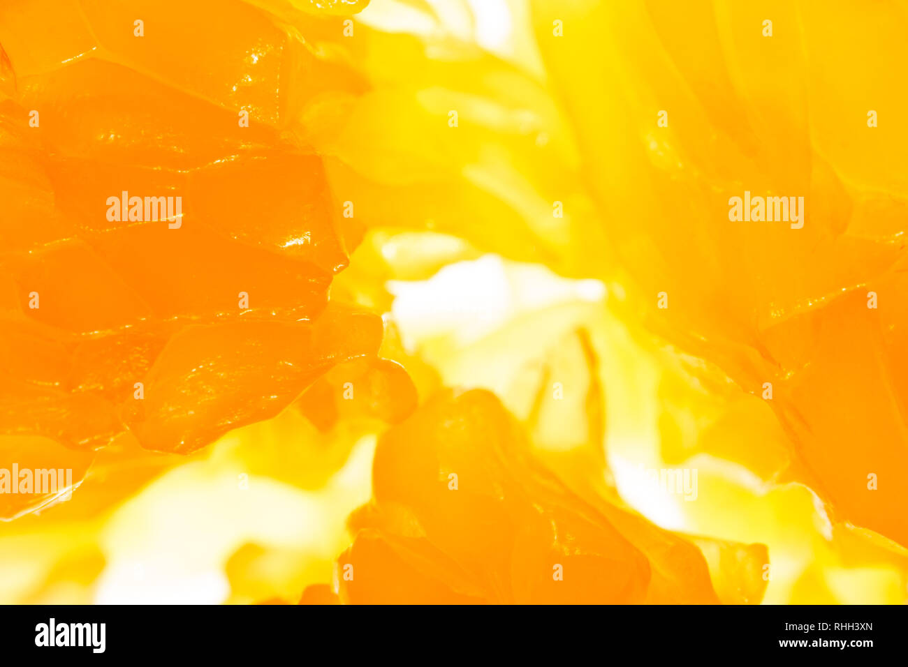 Pomelo fruit macro photography. Peeled pomelo slice on a white ...