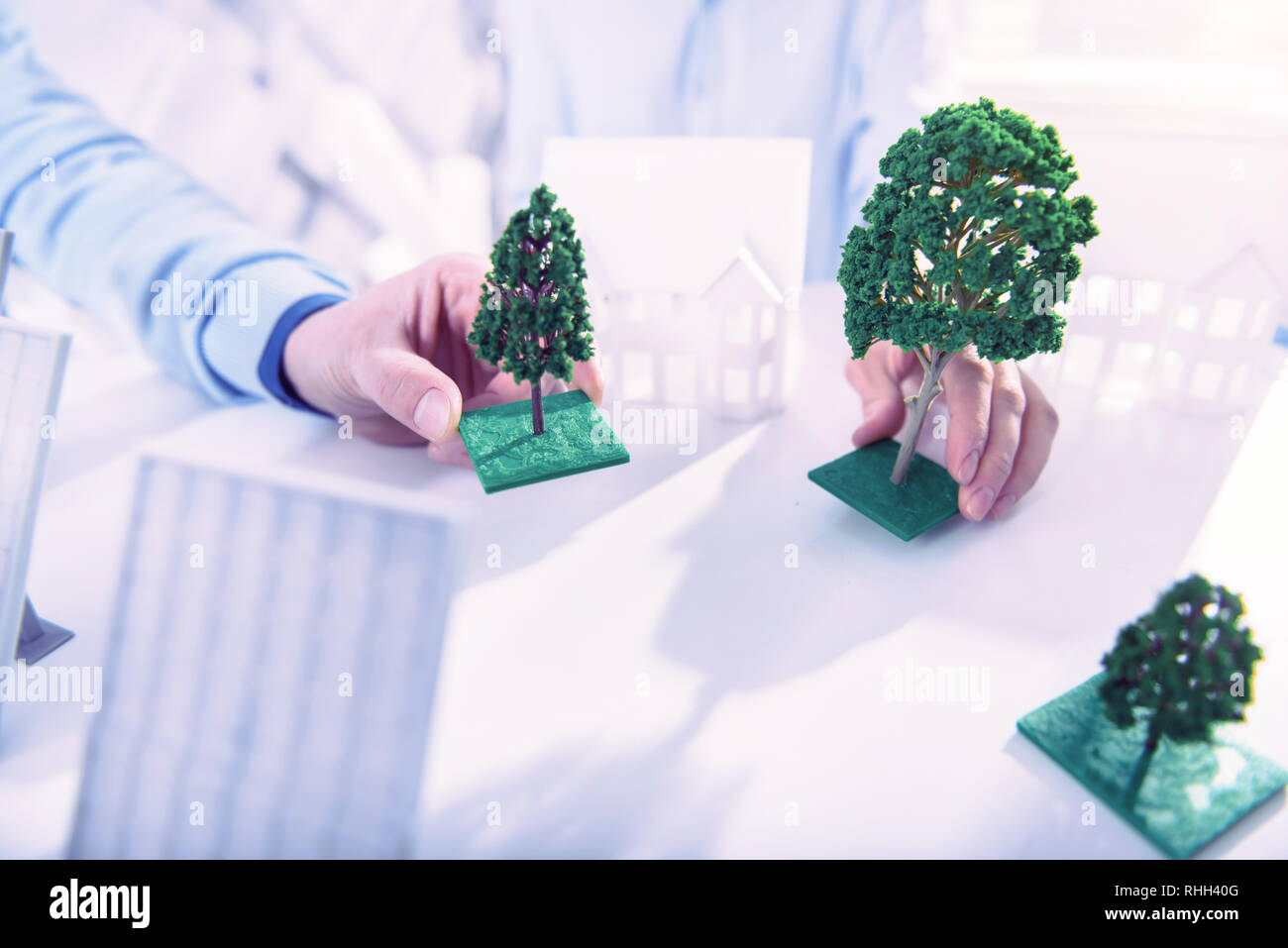 Two architects placing miniature trees while working on new project ...