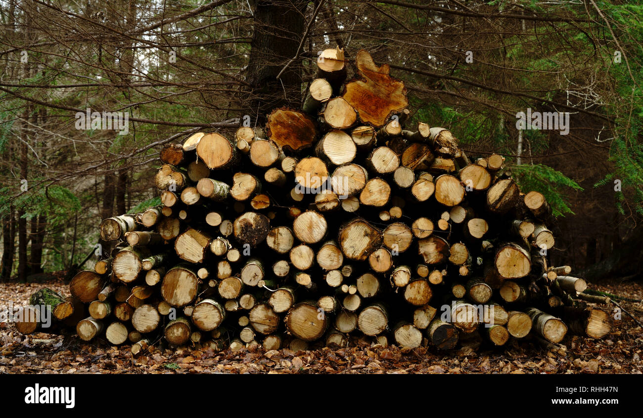 Firewood wood pile stacked triangle hi-res stock photography and images ...