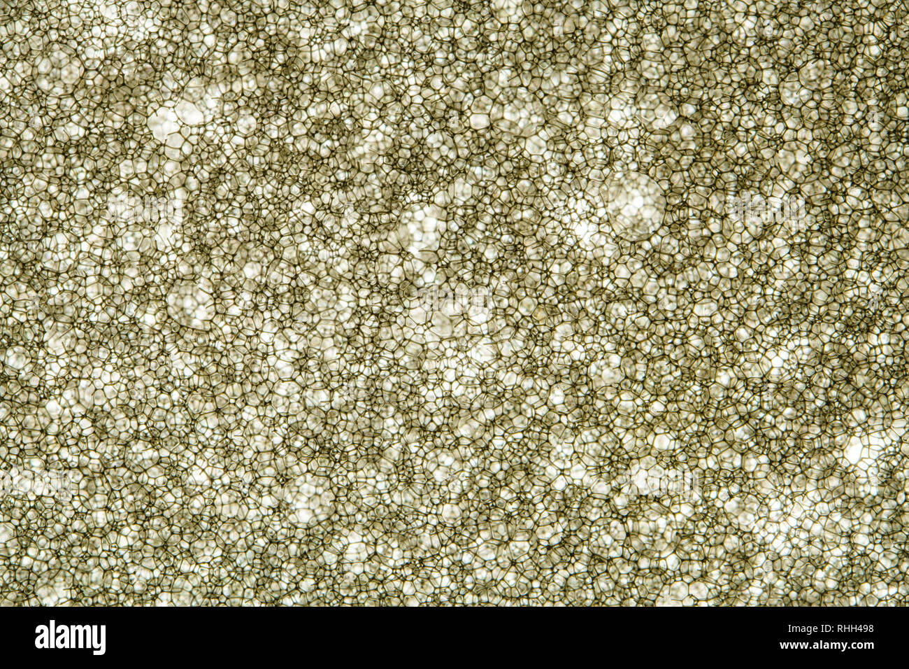 Sponge Foam Texture Macro Background. Abstract background of a thin ...