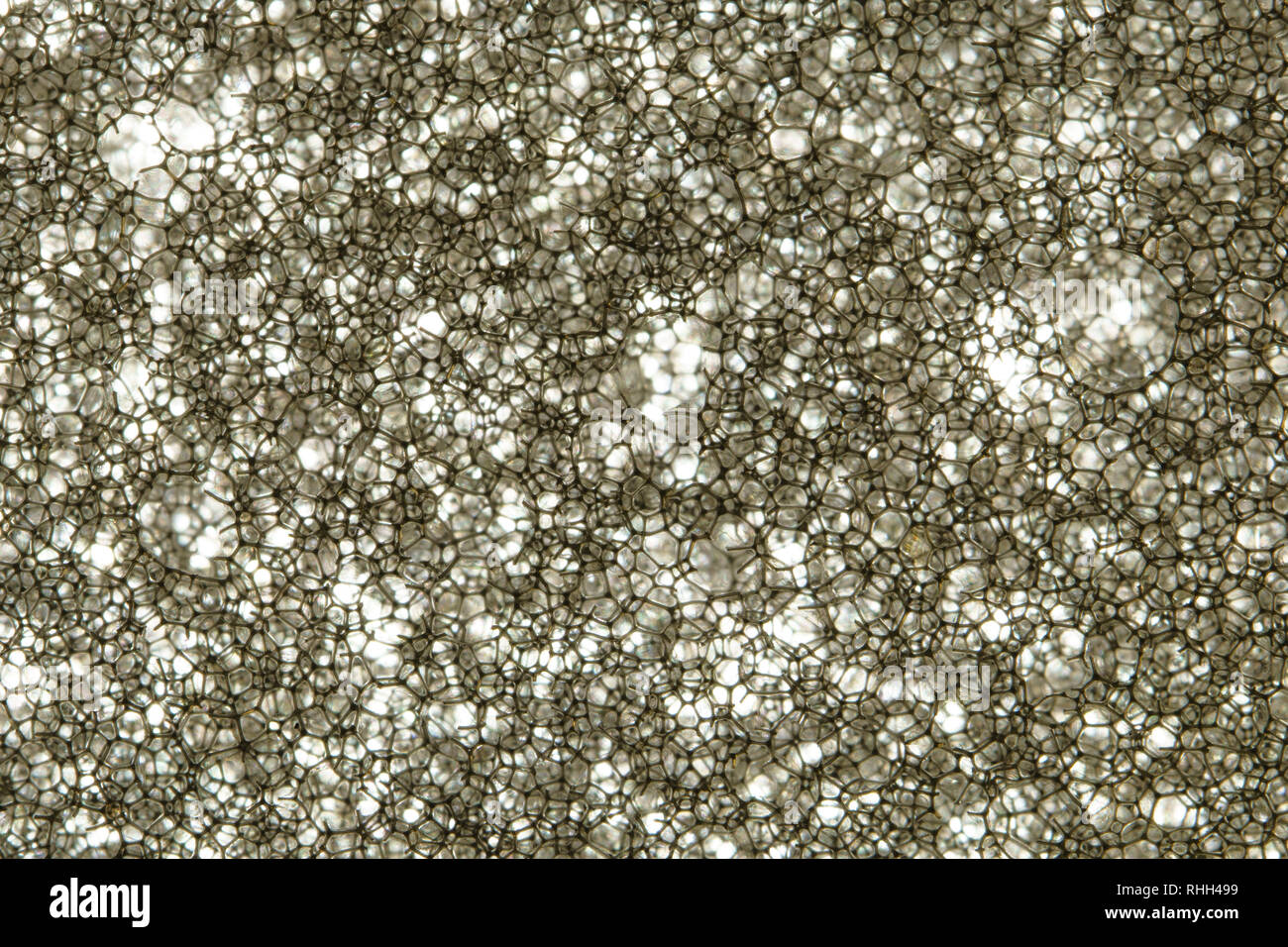 Sponge Foam Texture Macro Background. Abstract background of a thin ...