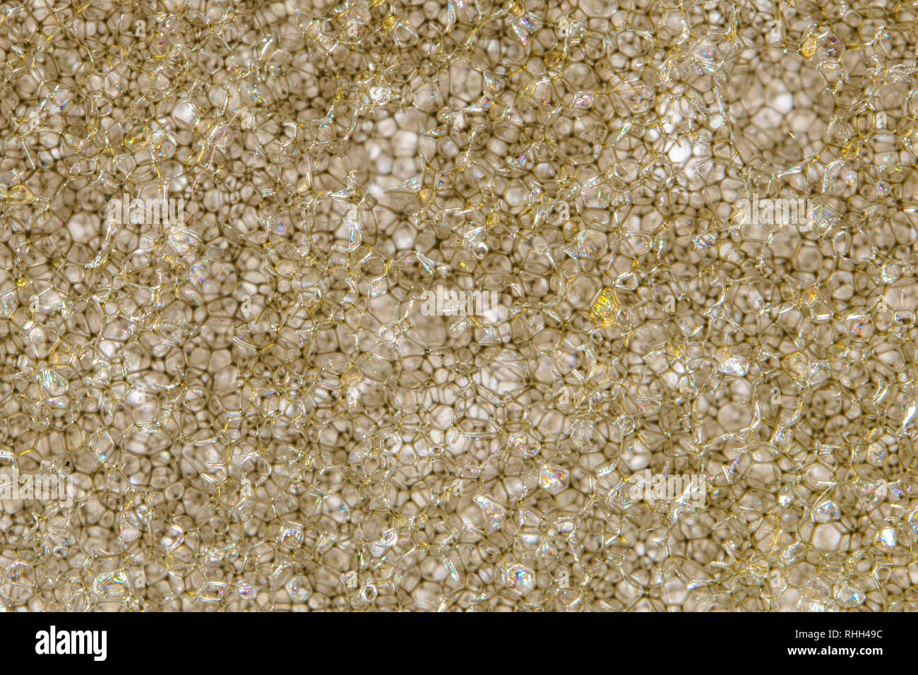 Sponge Foam Texture Macro Background. Abstract background of a thin ...