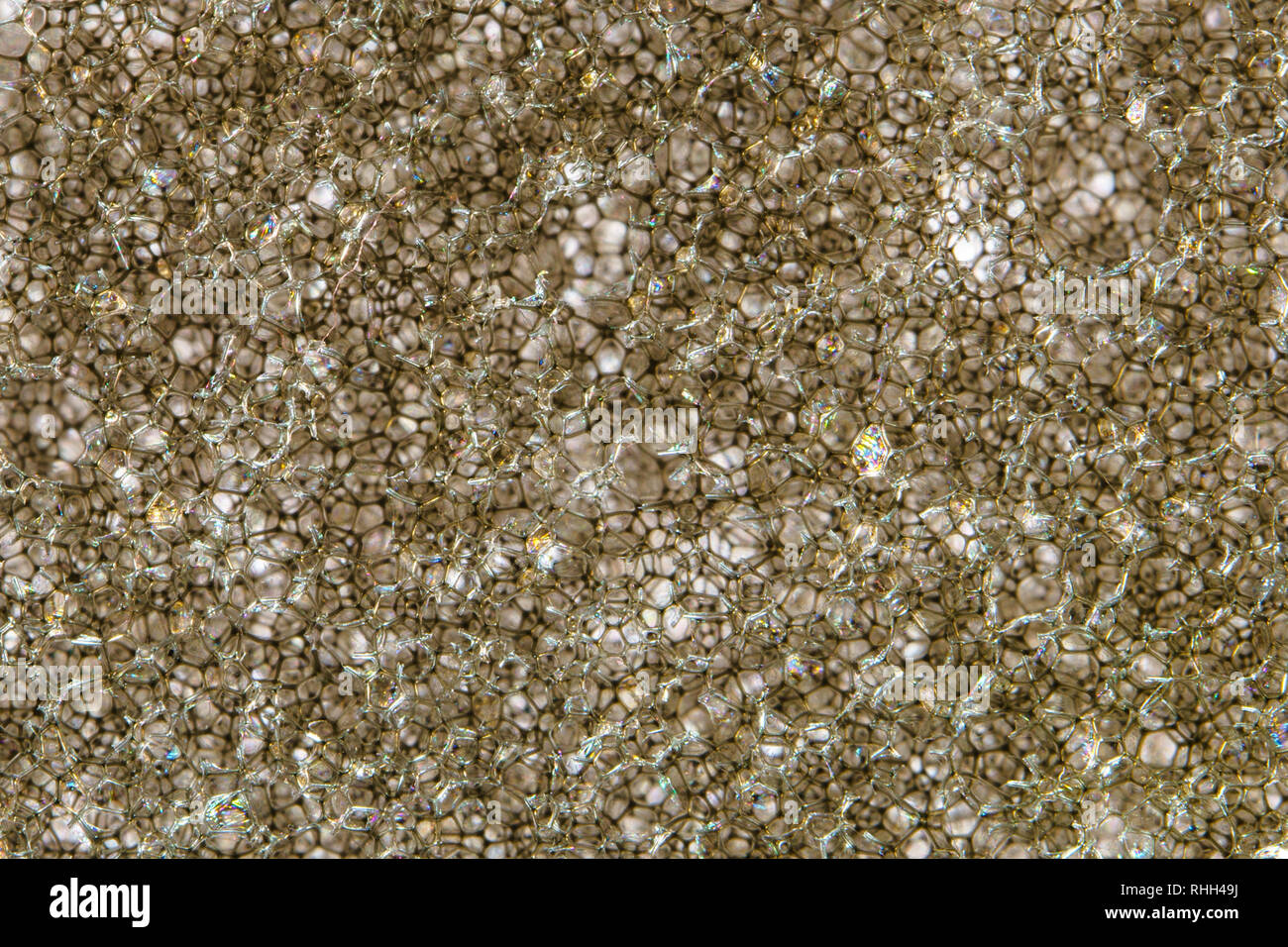 Sponge Foam Texture Macro Background. Abstract background of a thin ...