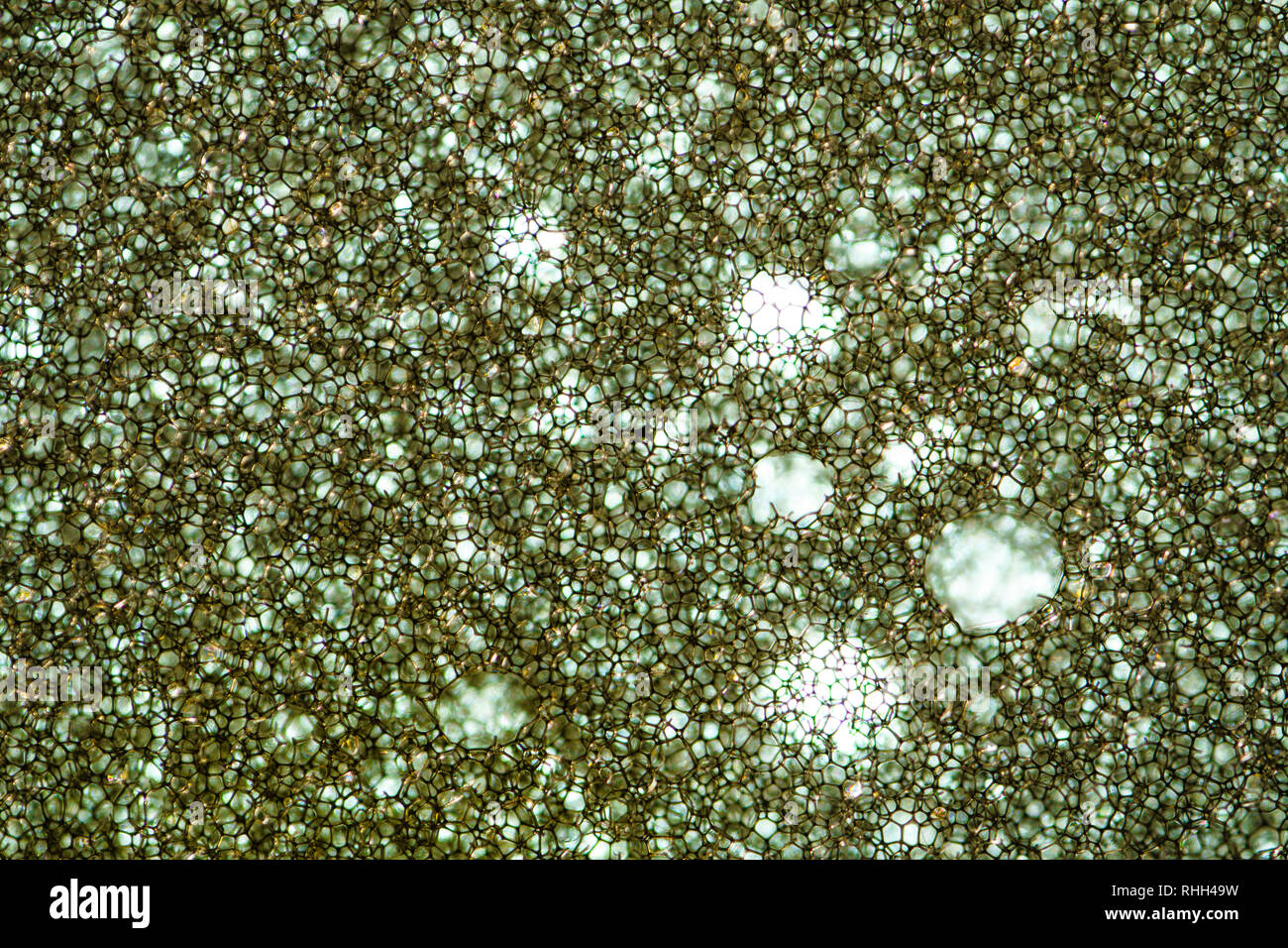 Sponge Foam Texture Macro Background. Abstract background of a thin ...