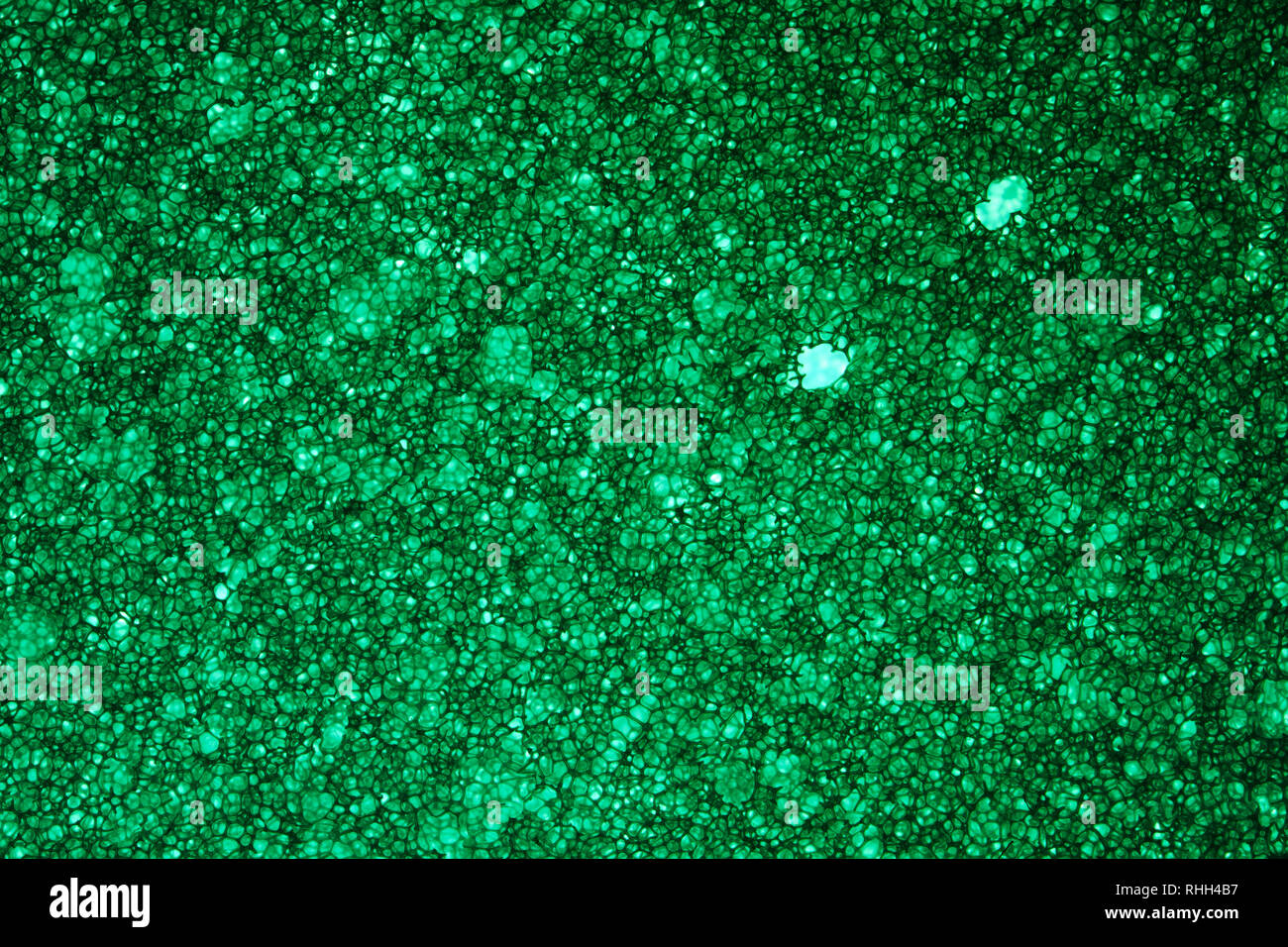 Green Sponge Foam Texture Macro Background. Abstract background of a ...