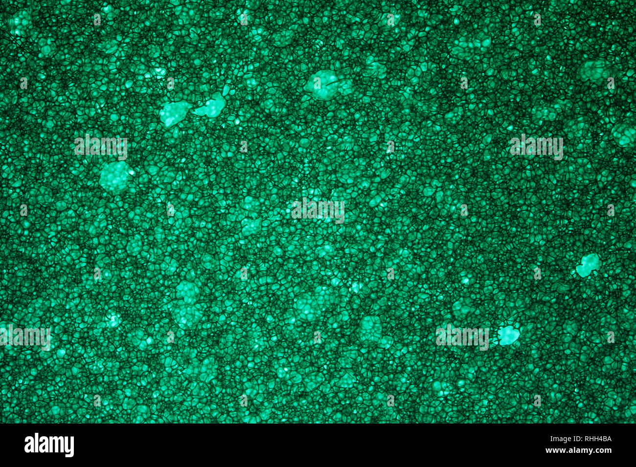 Green Sponge Foam Texture Macro Background. Abstract background of a ...