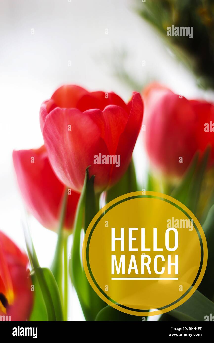 Hello March Images