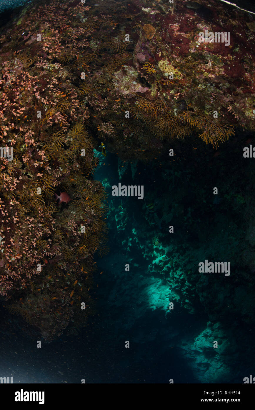 Kafan hi-res stock photography and images - Alamy