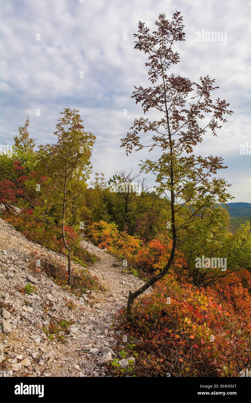 Autumn colours on display in the Carso karst limestone area of Friuli ...