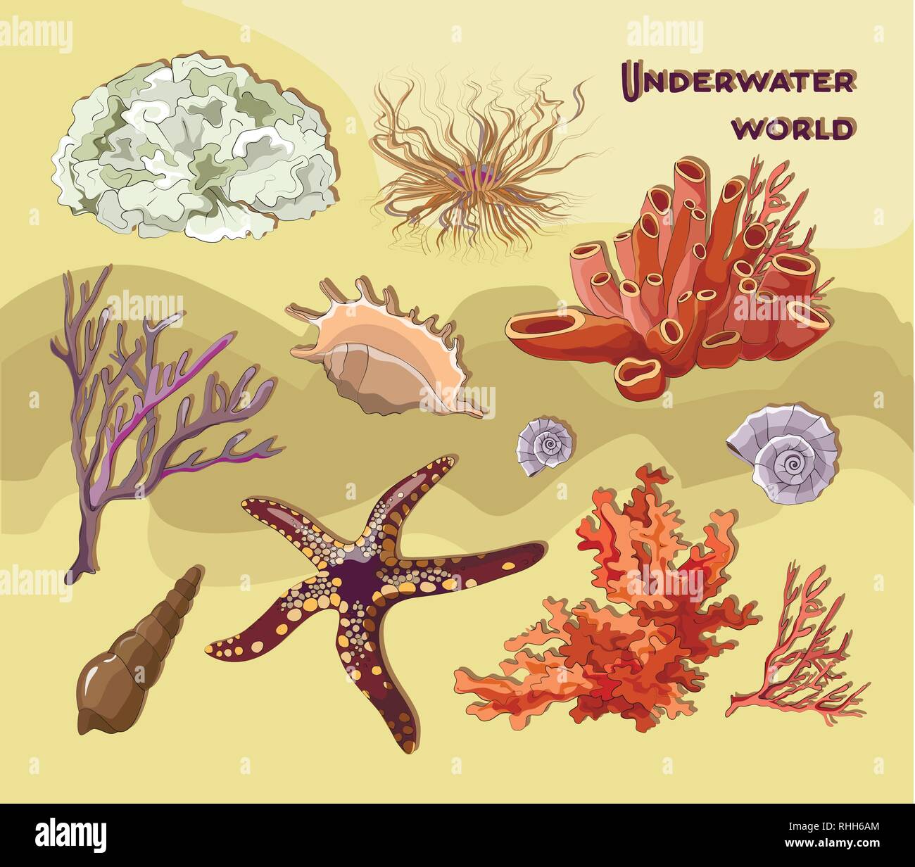 Set of underwater objects. Seaweeds, bubbles, stones. For web design ...