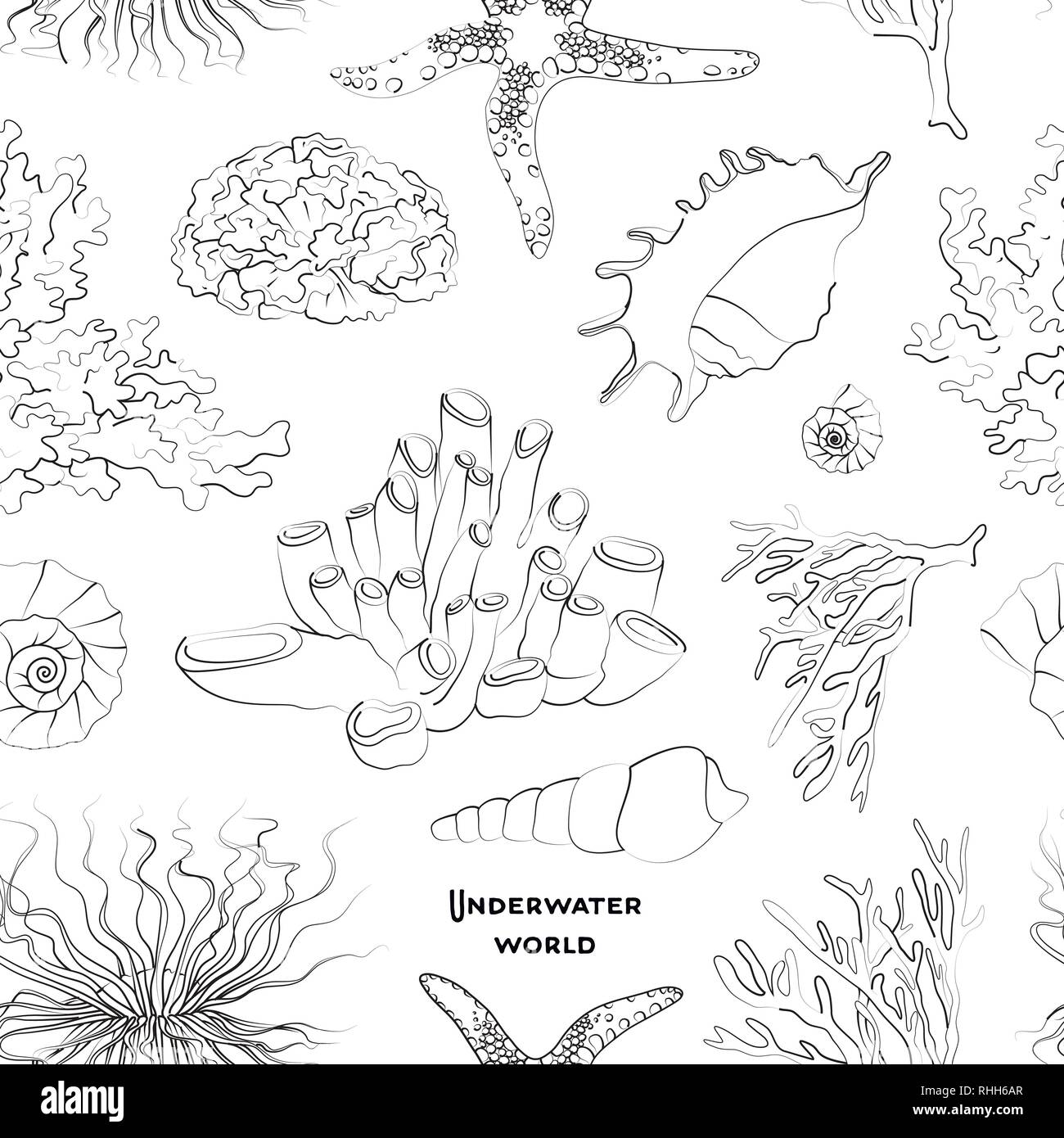 Pattern of underwater objects. Seaweeds, bubbles, stones. For web ...
