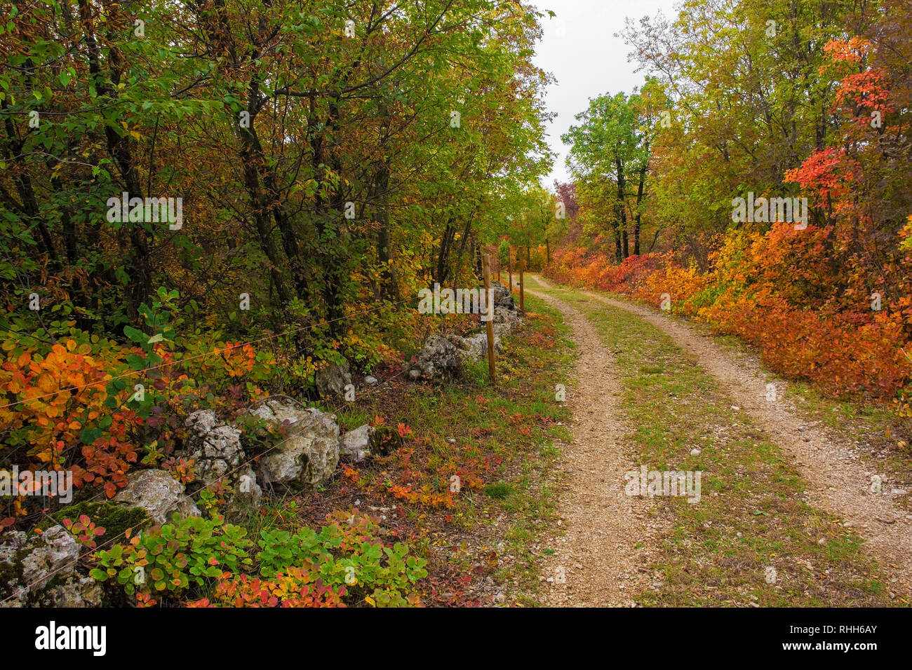 Doberdo scene hi-res stock photography and images - Alamy