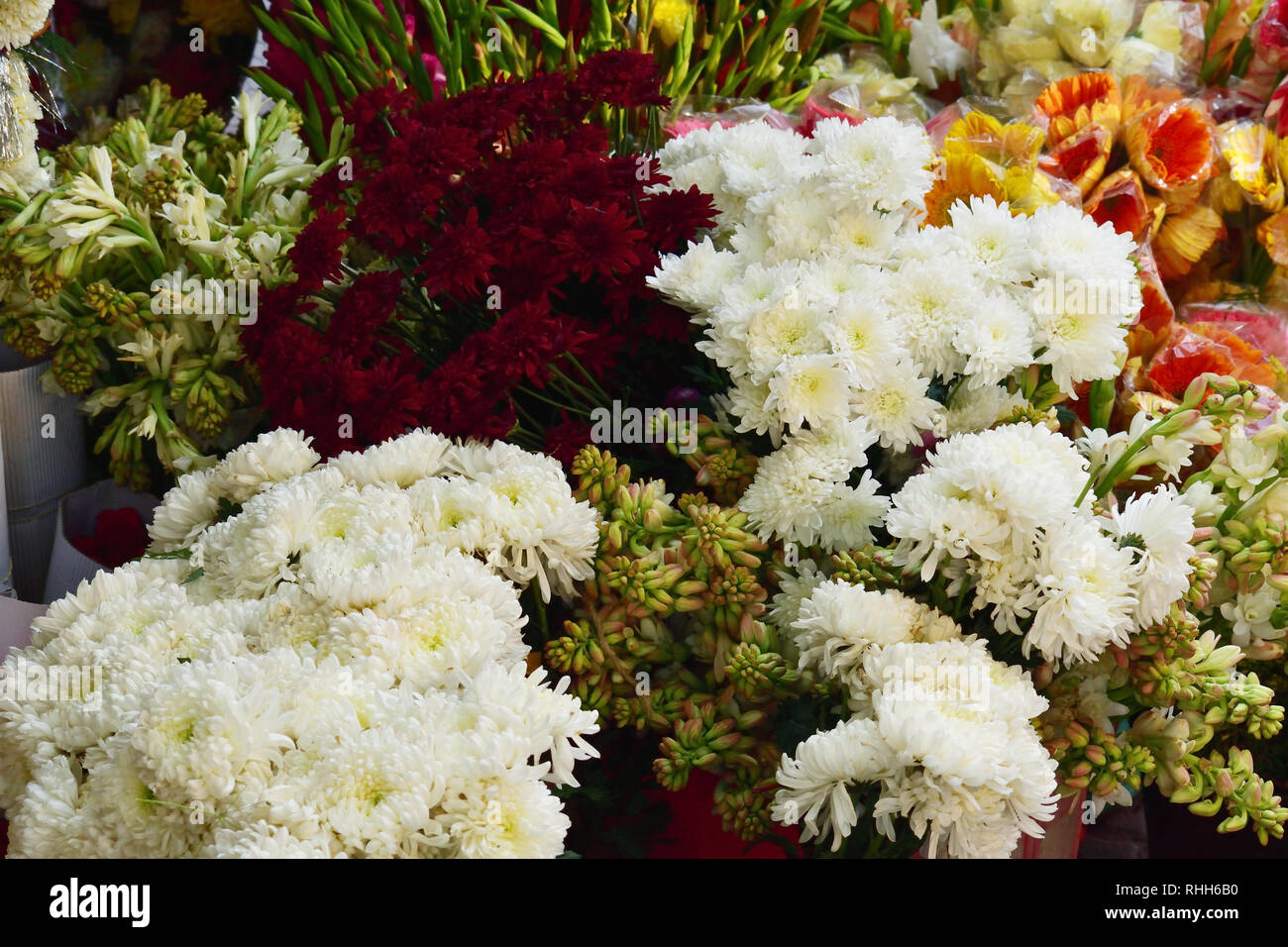 Red white mix flower hi-res stock photography and images - Alamy