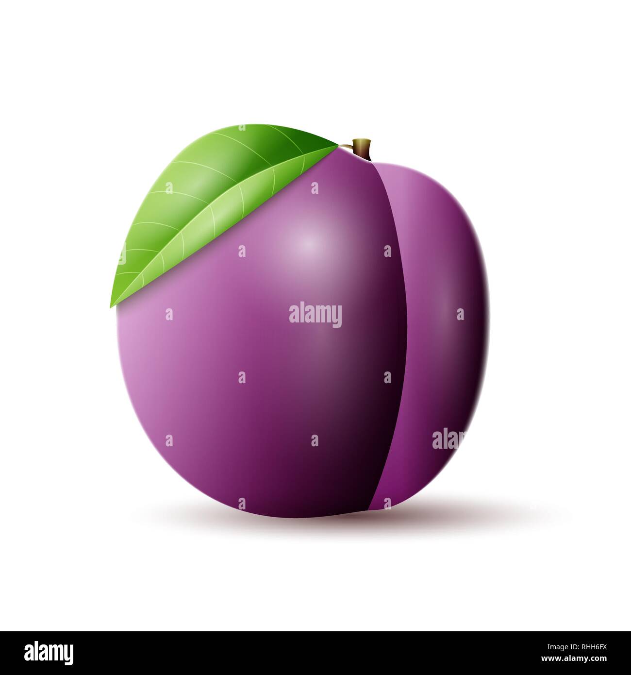 Plums vector icon. Plums vector object isolated on white background ...