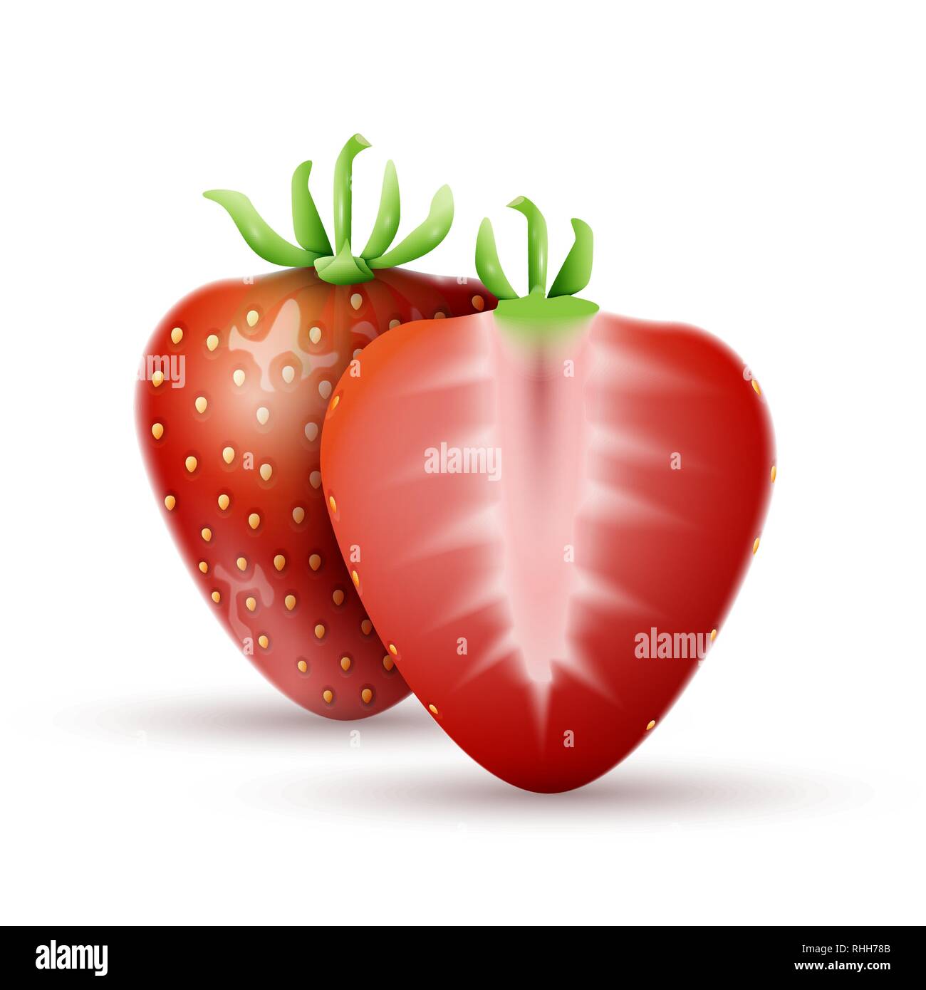 Whole strawberry and a half strawberry. Vector illustration, EPS 10 ...