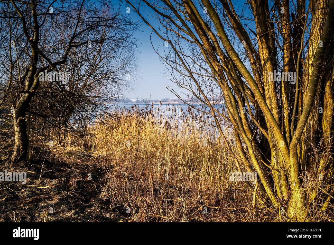 Lagoon Bagry in the city of Krakow, Poland Stock Photo - Alamy