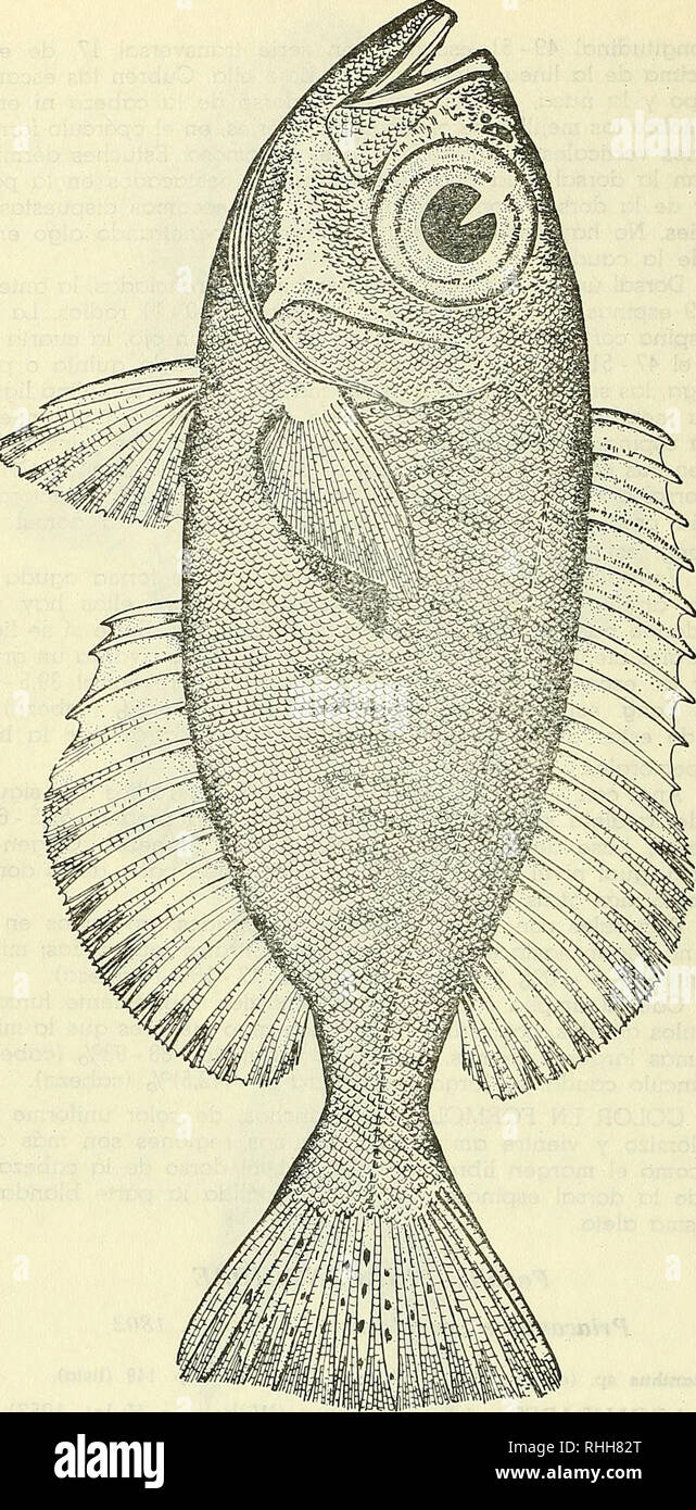 Dibujo de la figura hi-res stock photography and images - Alamy