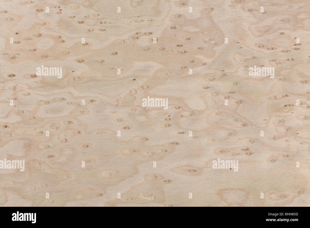 Maple wood, natural grain texture for your unique project Stock Photo ...