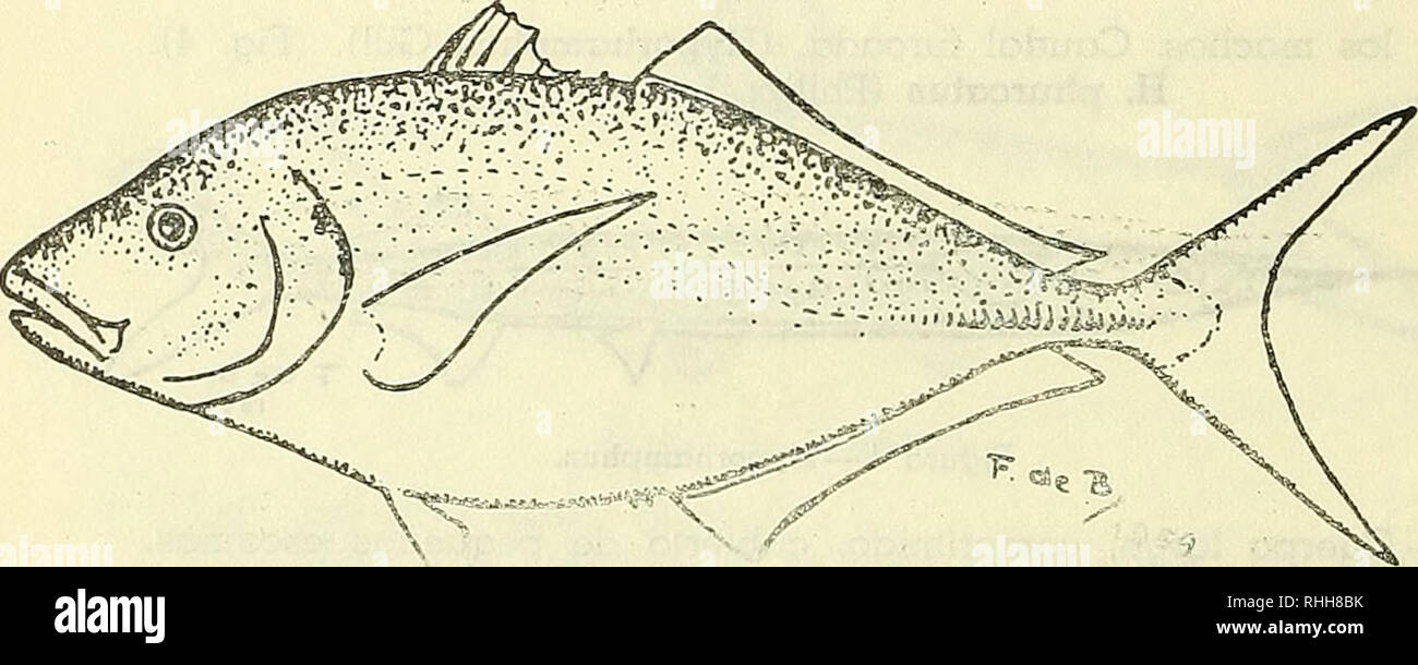 . Boletin de la Sociedad de Biología de Concepción. Sociedad de ...