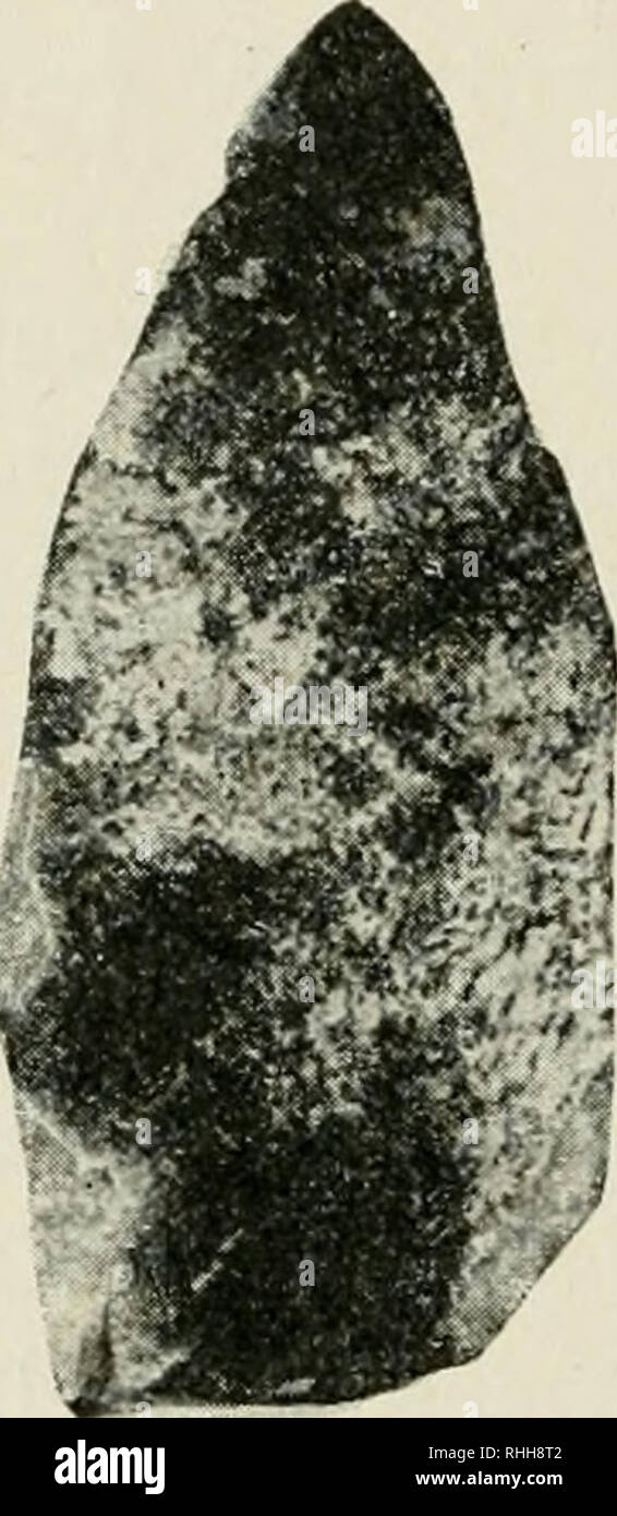 Caia images hi-res stock photography and images - Alamy