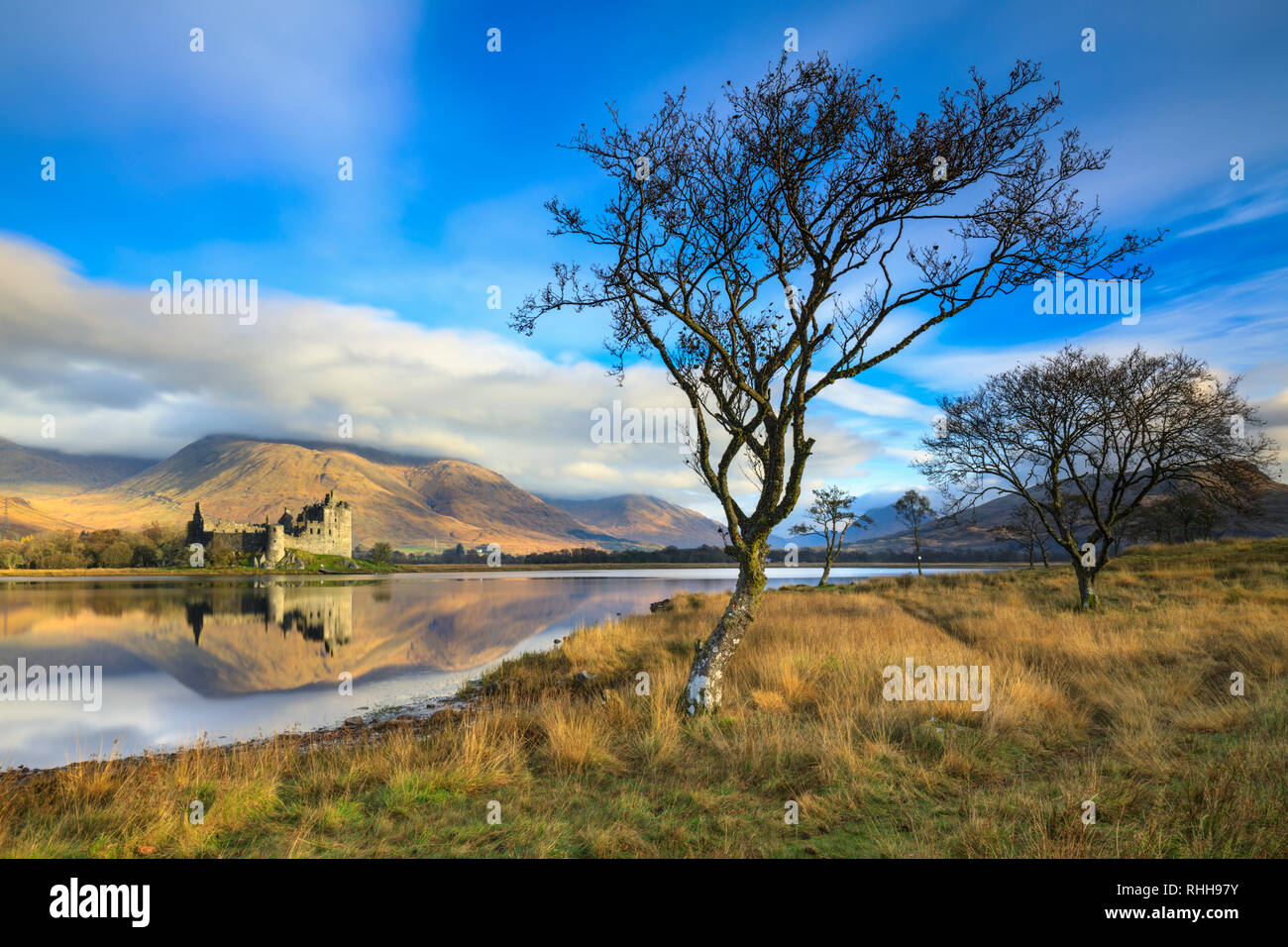 Trees on the bank of Loch Awe with Kilchurn Castle in the distance ...