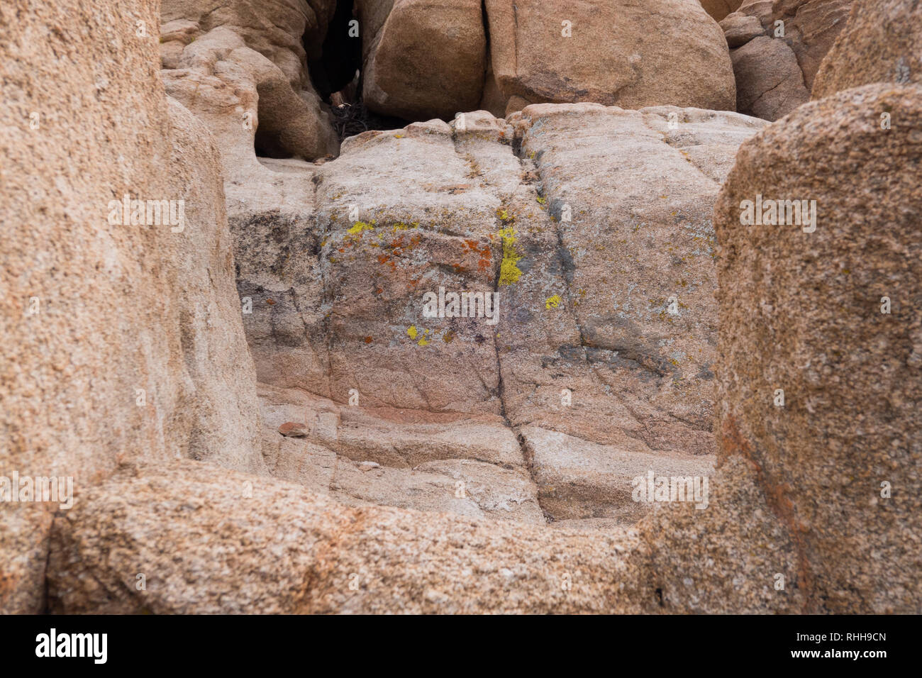 Lichen in the desert hi-res stock photography and images - Alamy