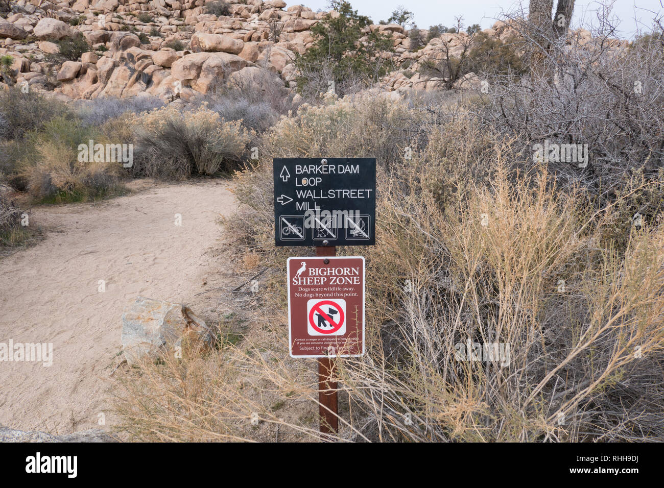 Road sign to Barker Dam and Wall Street Mill in Joshua Tree National ...