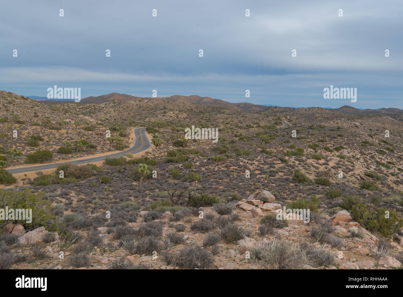 Asphalt road running through the desert in Joshua Tree National Park ...